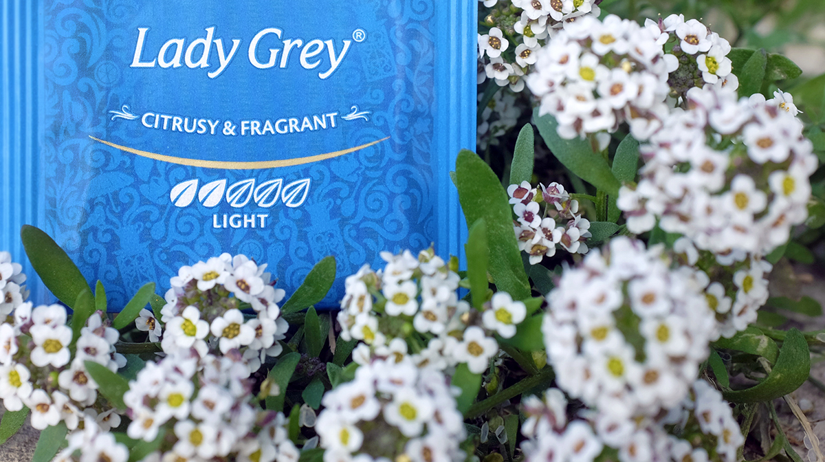 Battle of the Citrus - Lady Grey vs Earl Grey - My Earl Grey